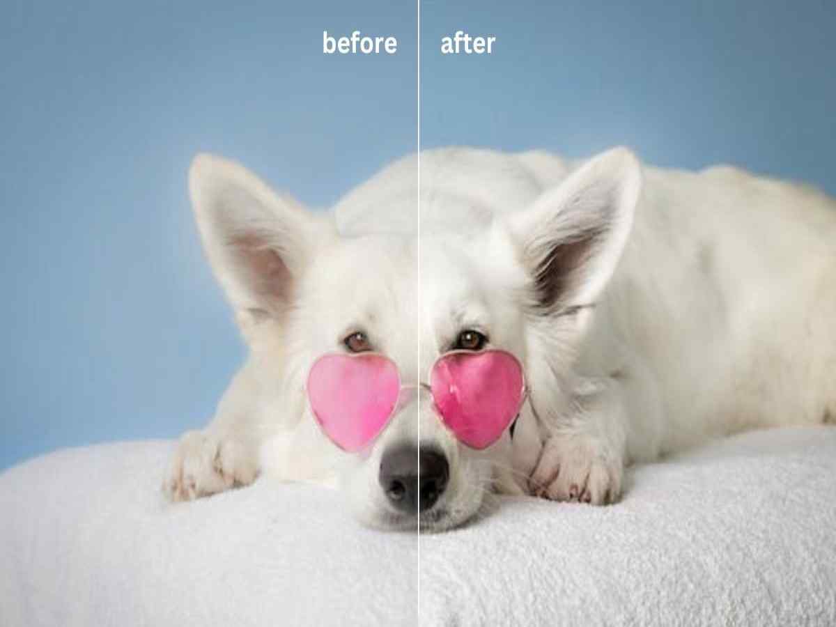 Imglarger: A Detailed Look at the AI-Powered Photo Enhancement Tool