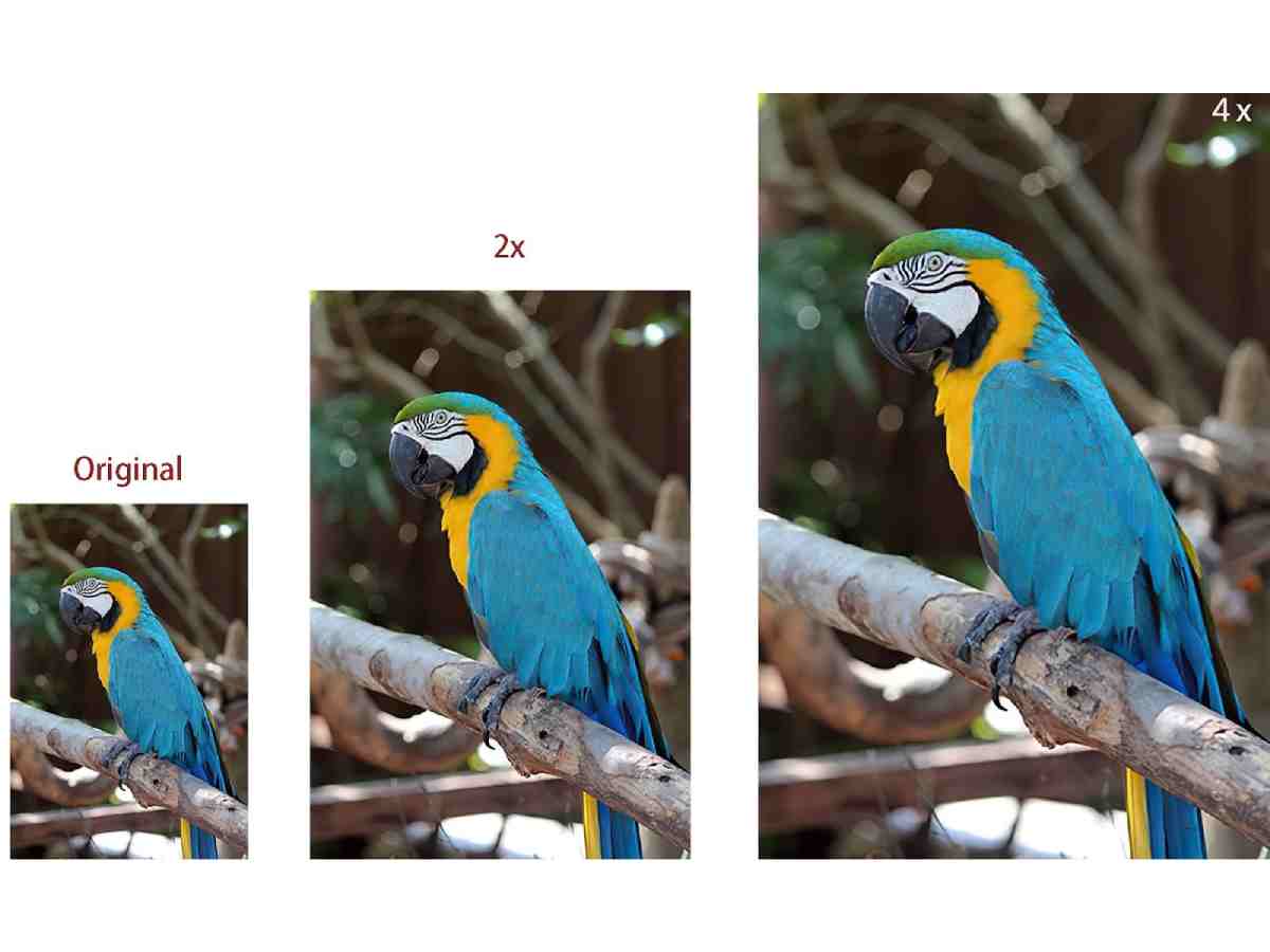 Imglarger: A Detailed Look at the AI-Powered Photo Enhancement Tool